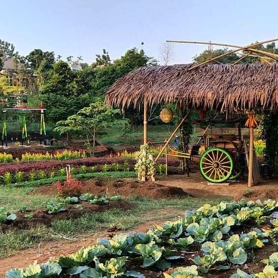Hidden Gem Kampung Konservasi Rimbun di Tangsel - INFO TANGERANG